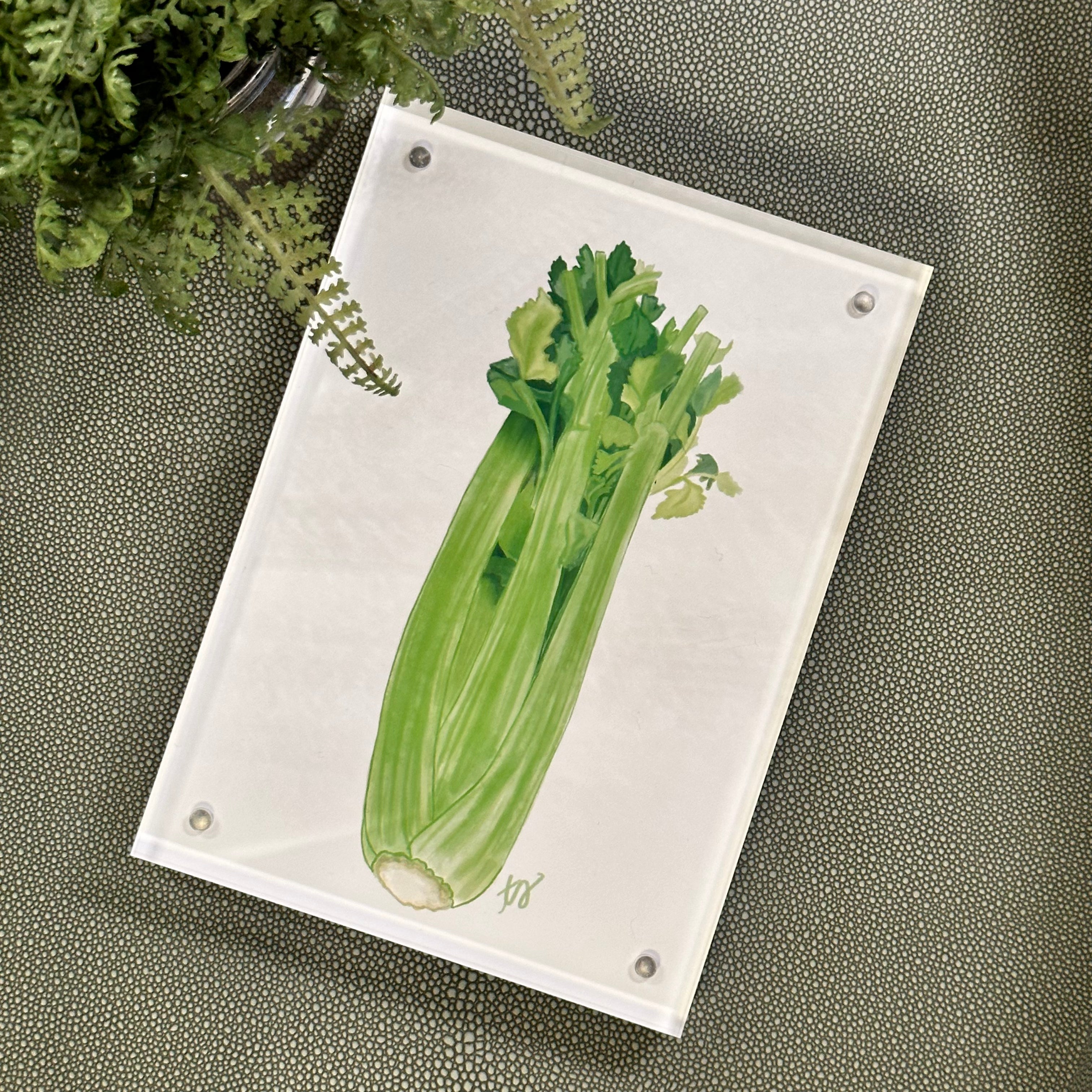 cajun trinity celery [acrylic frame] – Southern Sketch