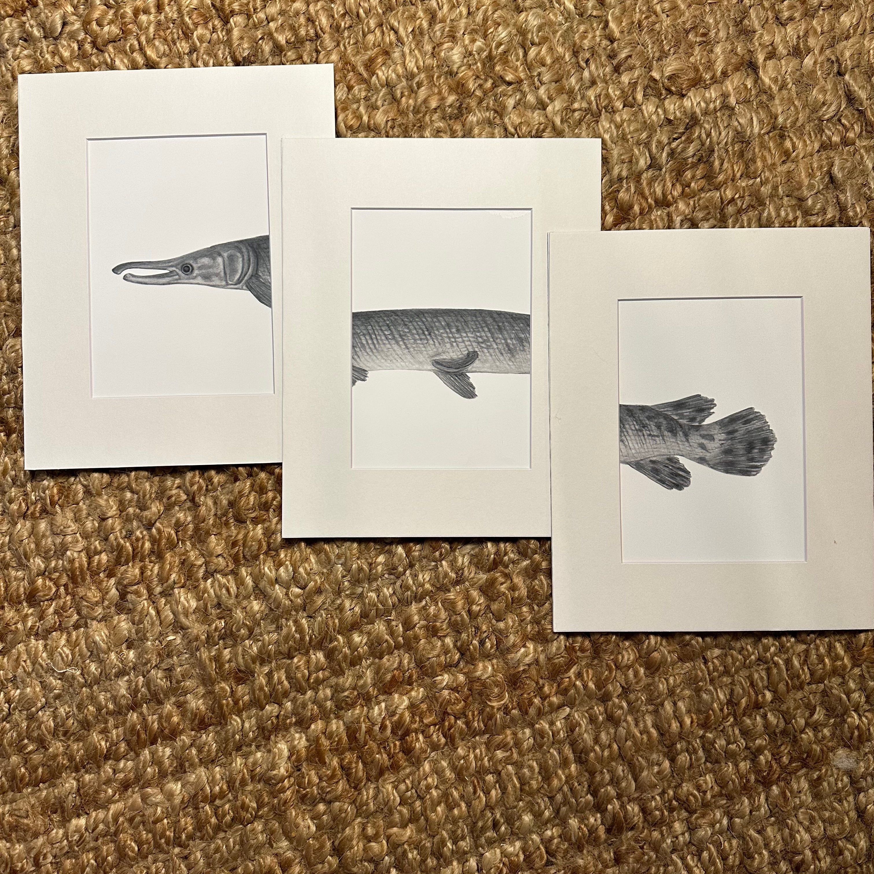 gar trio · print – Southern Sketch